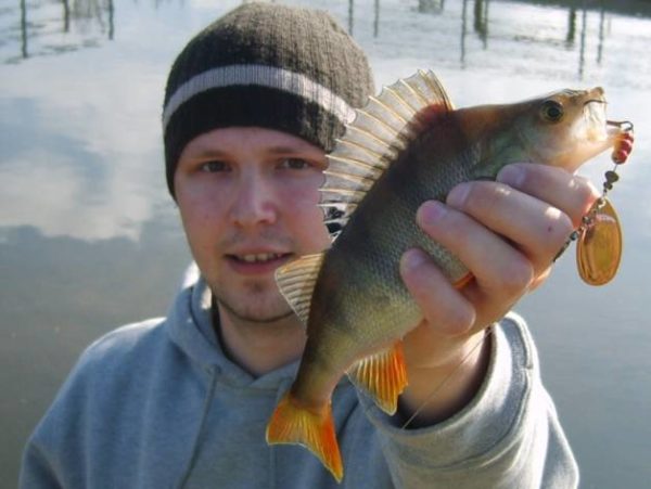 Angeln mit Spinnern und Blinkern