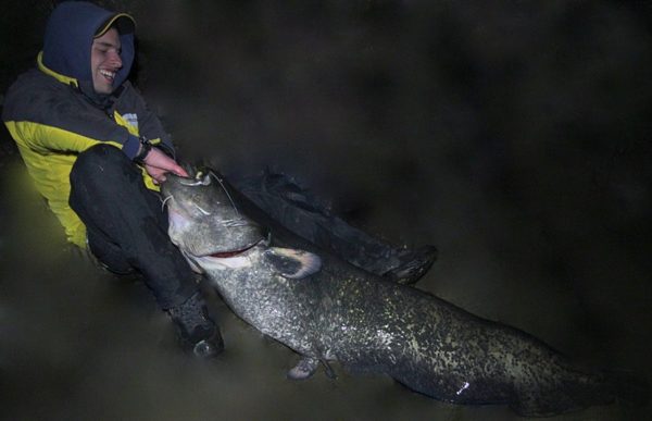 Rheinland-Pfalz - Angeln am Rhein: Zanderangeln im Winter