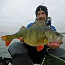 Vorstellung von Marco