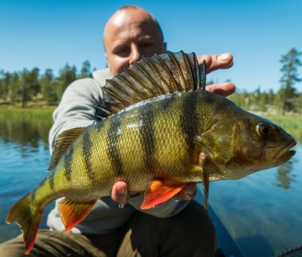 Kanu-Angel-Abenteuer-Reise in Schweden und Norwegen