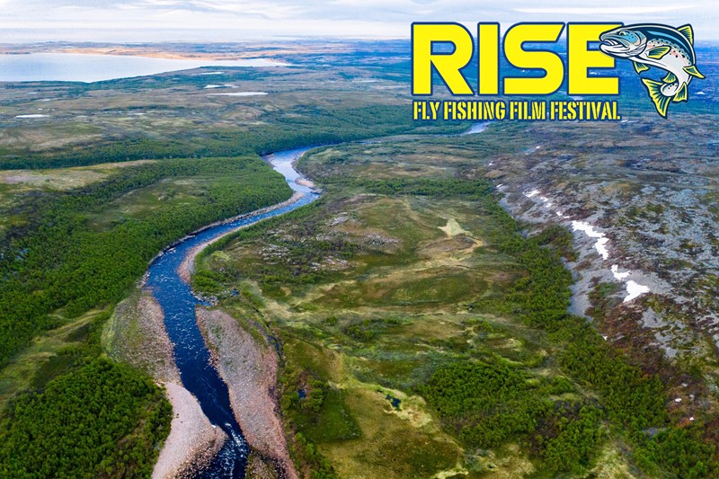 RISE 2020 - Dicht am Fisch